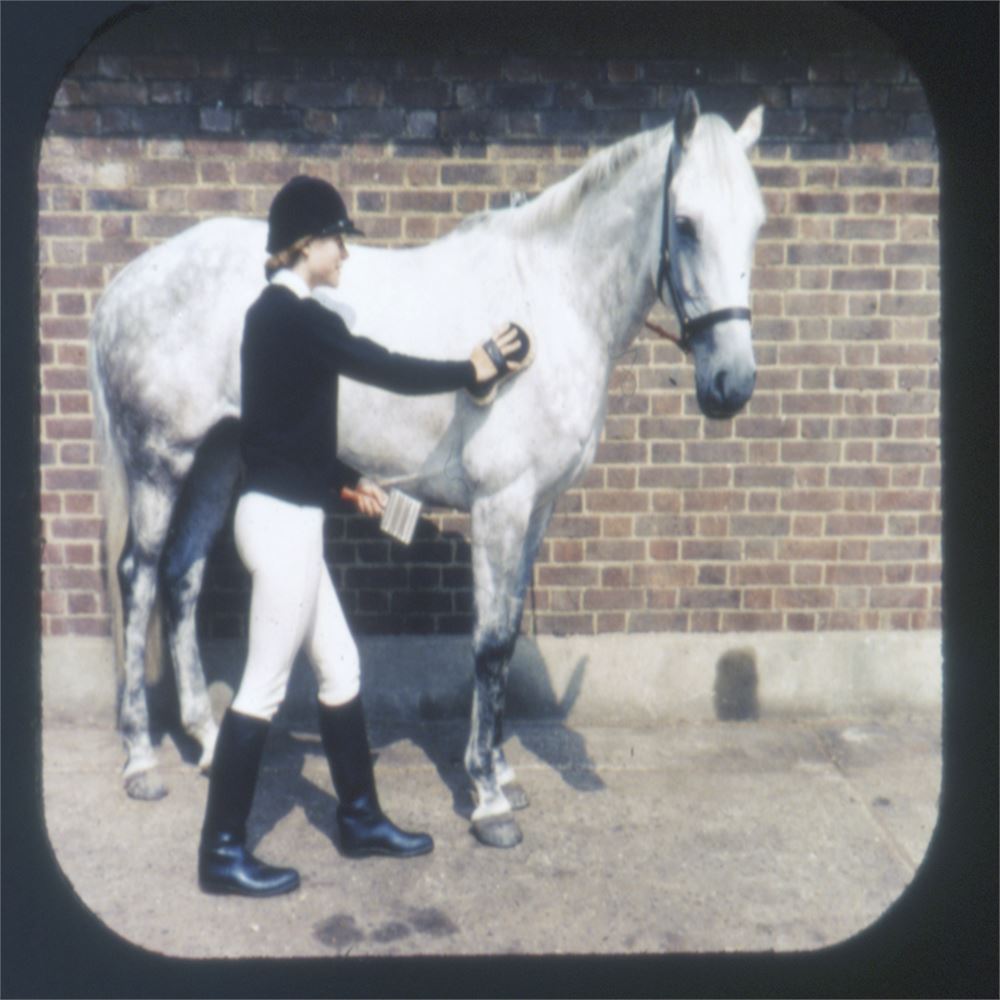 Pony Riding - View-Master 3 Reels on Card - vintage - D234-E – 3Dstereo.com