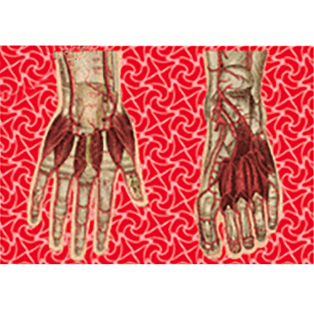 Hand and Foot - Flicker Lenticular Postcard Greeting Card - NEW ...