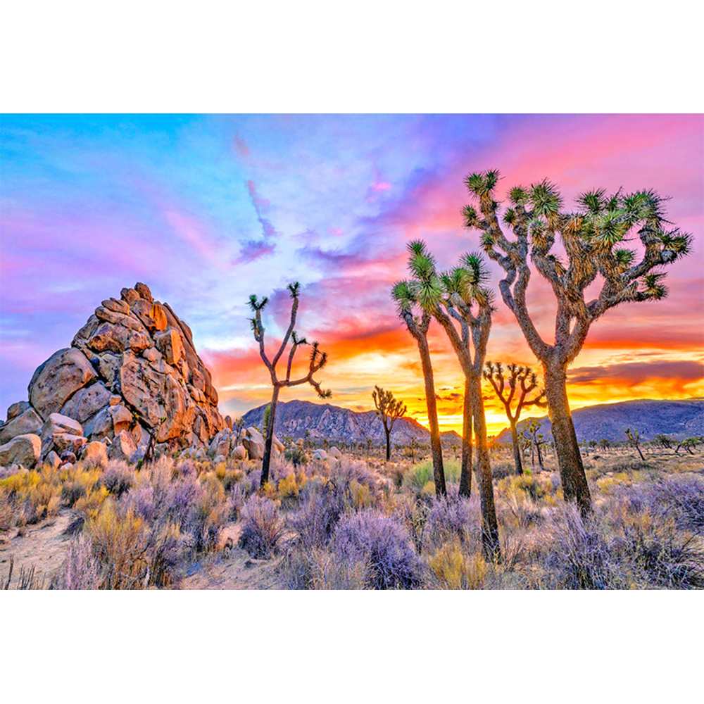 Joshua Tree Sunset 2 - 3D Magnet for Refrigerator, Whiteboard, Locker ...
