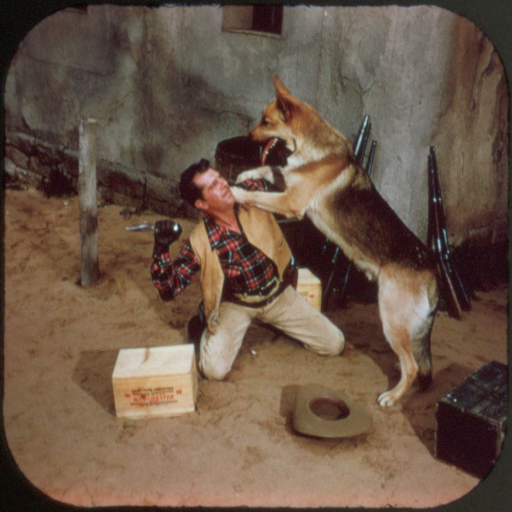 Rin-Tin-Tin - View-Master 3 Reel Packet - 1976 - vintage - B467-G5B ...