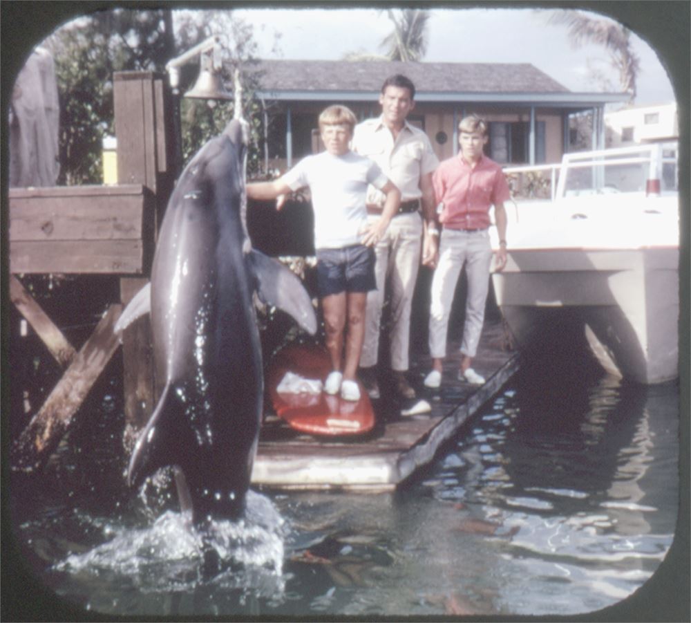 Flipper - View-Master 3 Reel Packet - vintage - B485-G1A – 3Dstereo.com