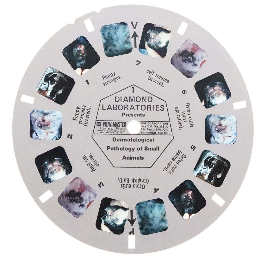 Diamond Laboratories - View-Master Commercial Reel - Full 3D images ...