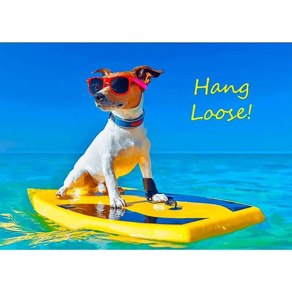 Hang Loose! - 3D Lenticular Postcard Greeting Card - NEW – 3Dstereo.com