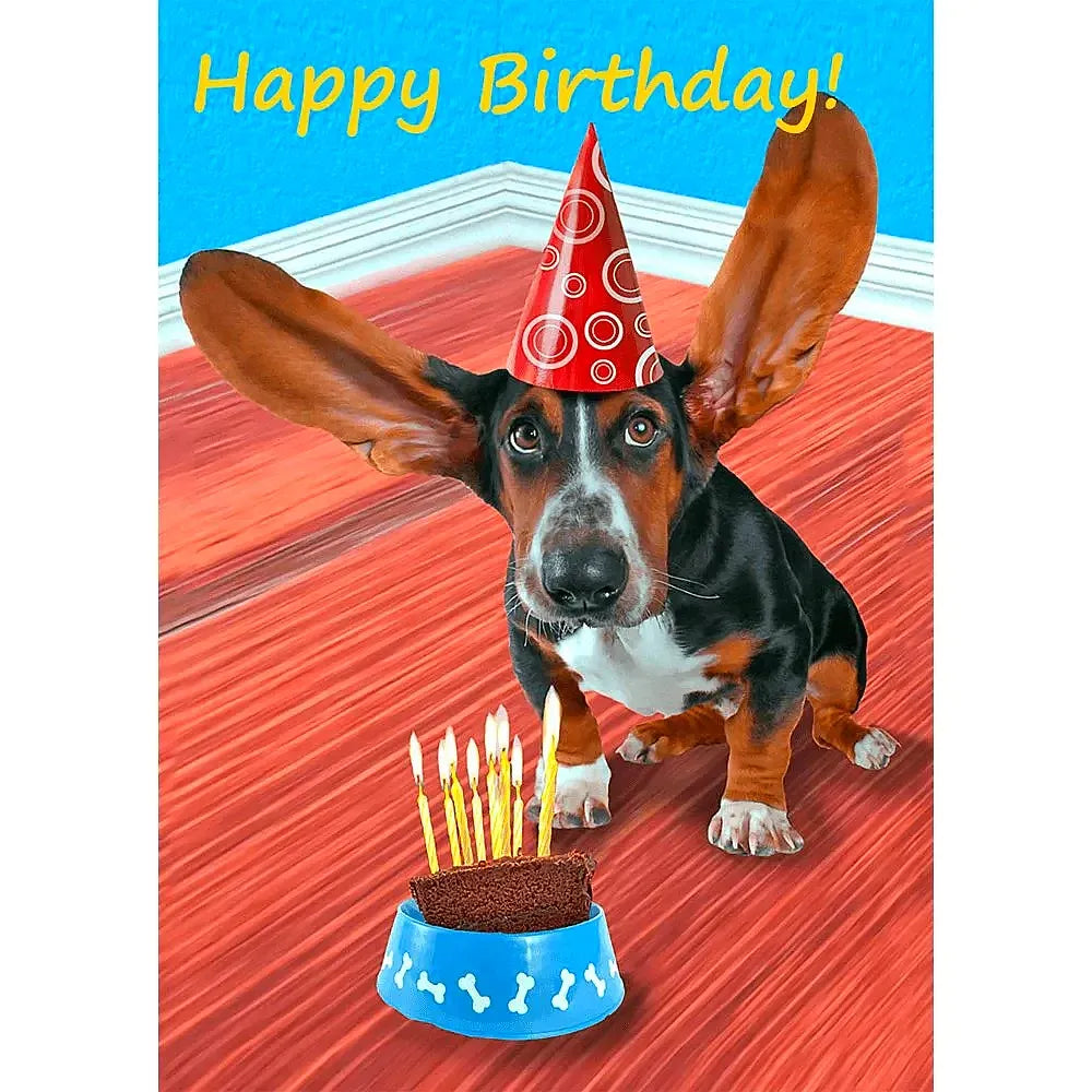 Happy Birthday Basset Hound Dog - 3D Lenticular Postcard Greeting Card ...