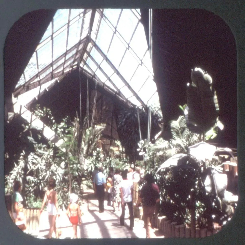 Metro Toronto Zoo - View-Master 3 Reel Packet - (A041-G6) – 3Dstereo.com