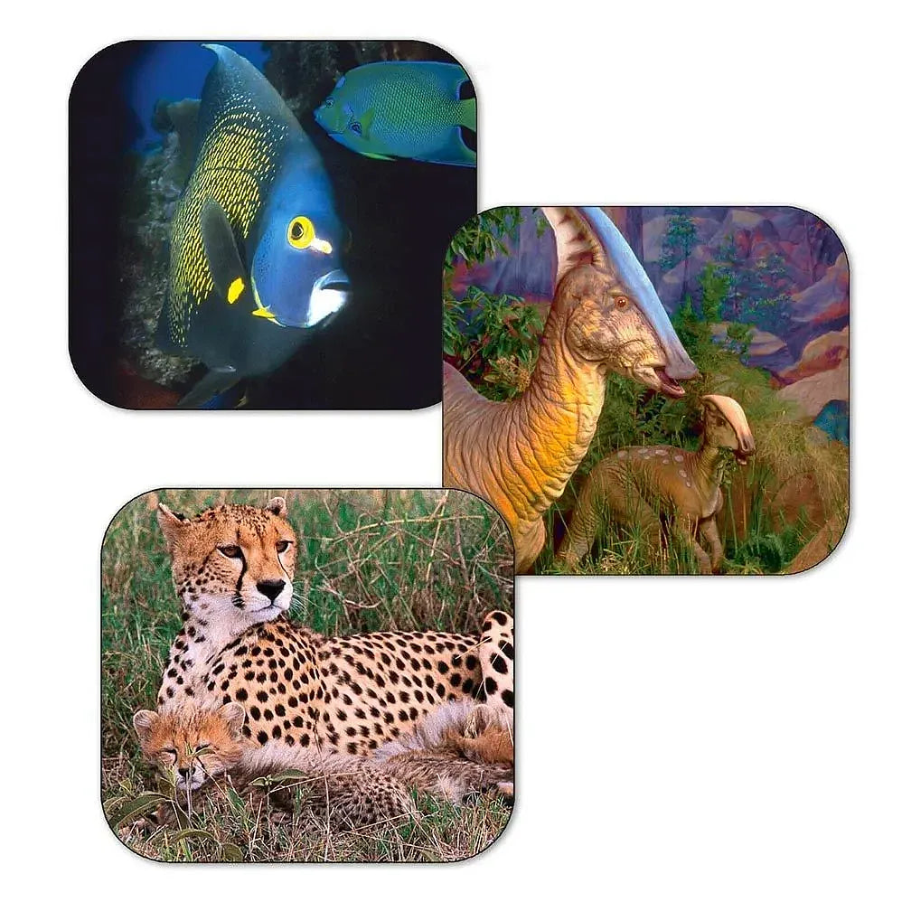 Dinosaurs Marine Safari Animals - View-Master/Discovery Kids Gift Set ...
