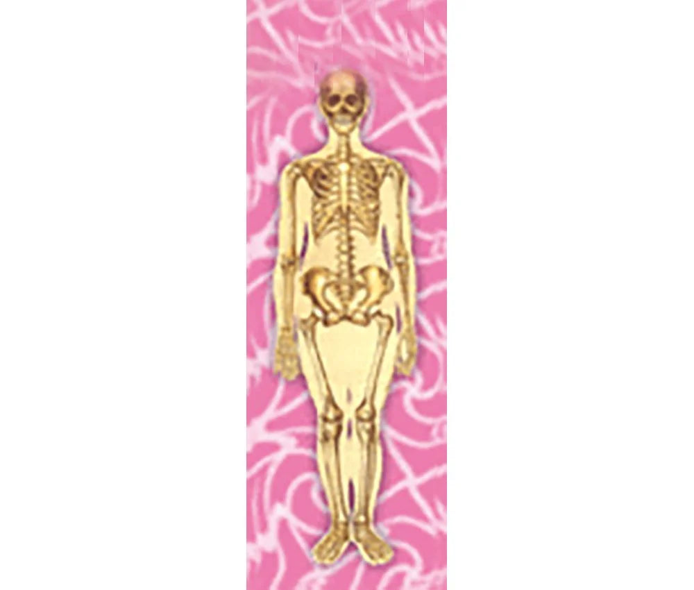 Woman's Body Anatomical - 3D Animated Lenticular Bookmark - NEW ...