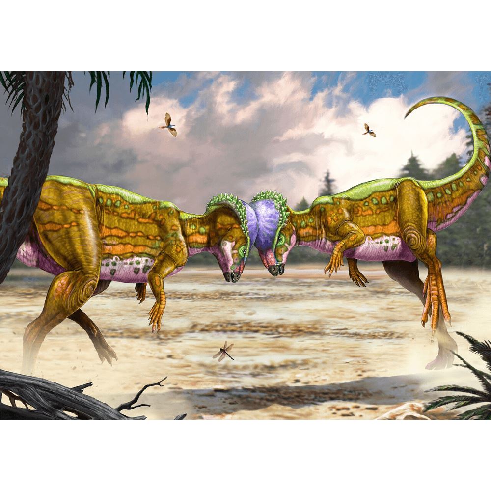 Pachycephalosaurus Fighting - 3D Lenticular Postcard Greeti - NEWng Ca ...