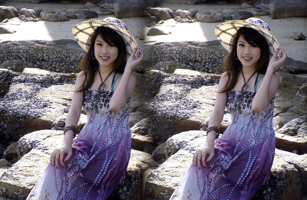 Stereo Lens for CANON SLR Cameras – 3Dstereo.com